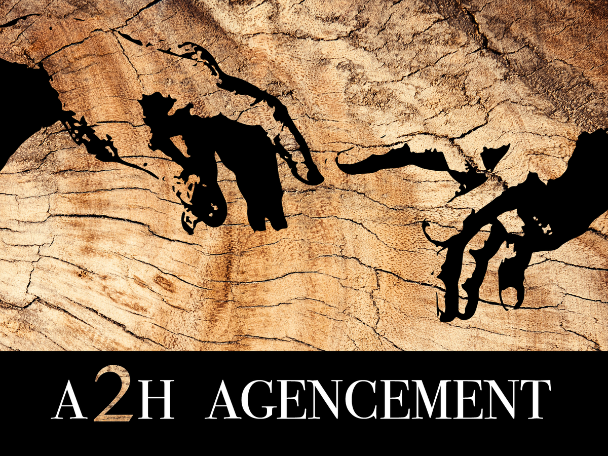 Agencement et mobiliers sur mesure professionnels – A2H AGENCEMENT